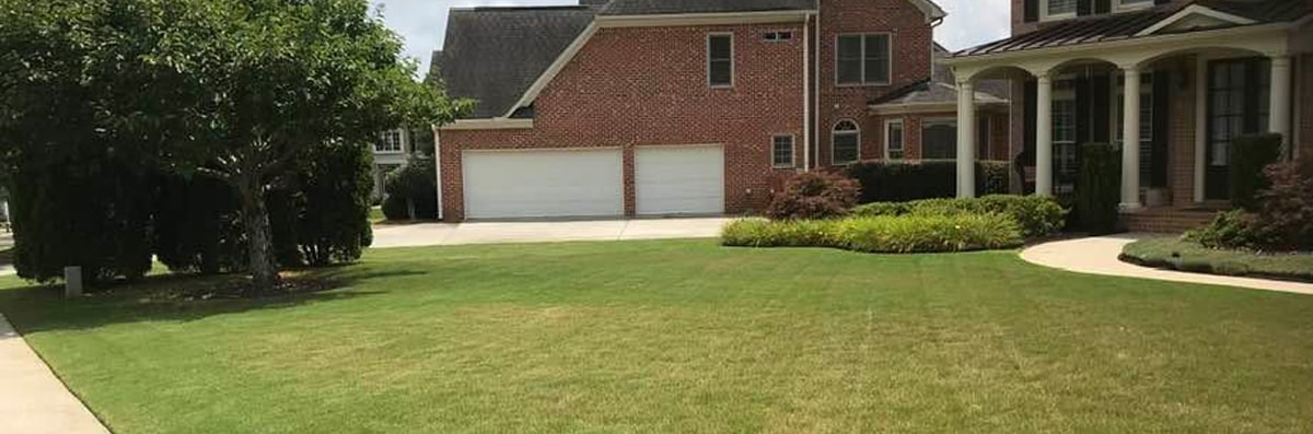 NewPro Landscapes is a Landscaping Company in Duluth, GA