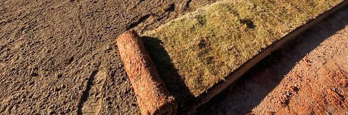 NewPro Landscapes is a Landscaping Company in Duluth, GA