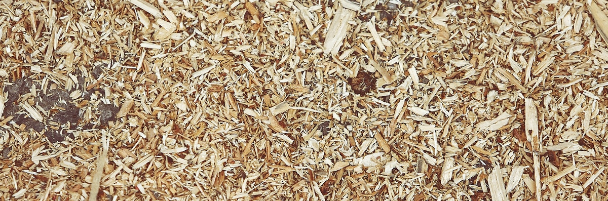 NewPro Landscapes is a Landscaping Company in Duluth, GA